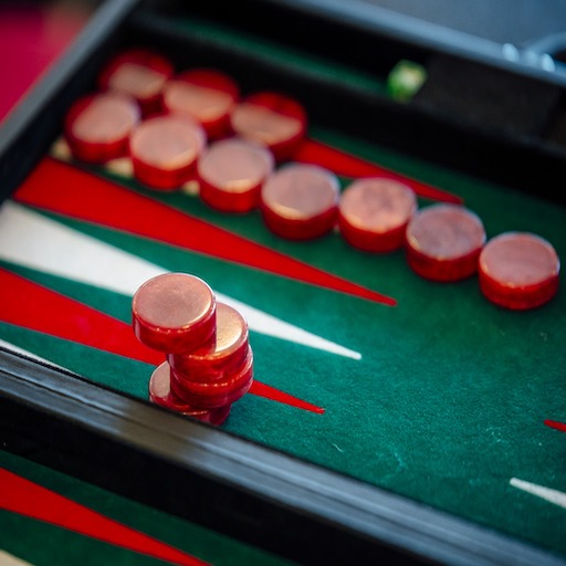 Pro Backgammon